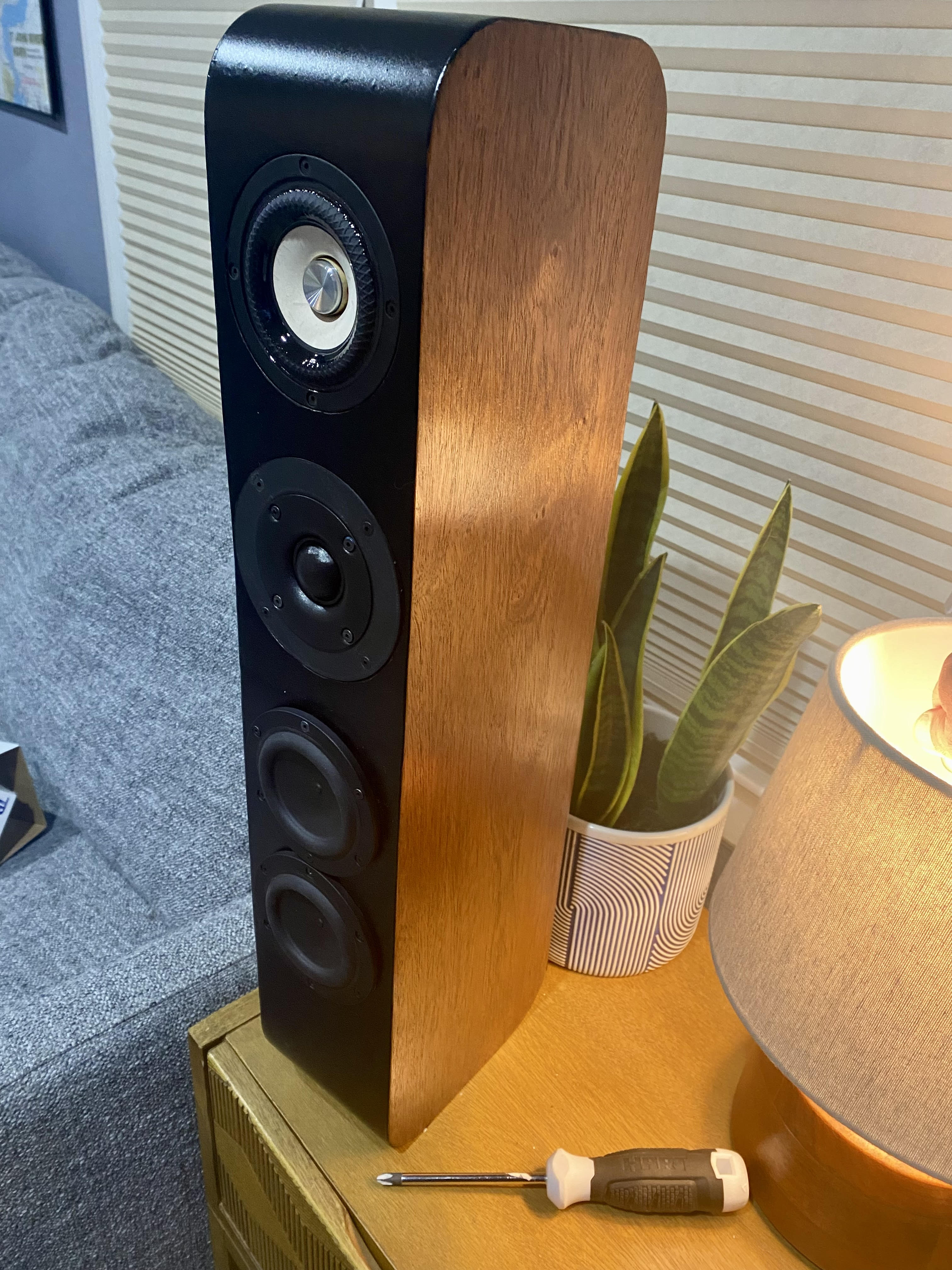 Custom Built Speaker - Photos